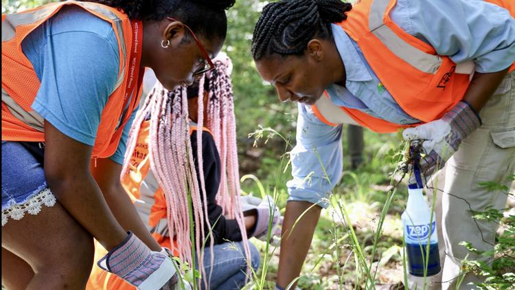 Alabama State Parks launches statewide effort to restore habitats and ...