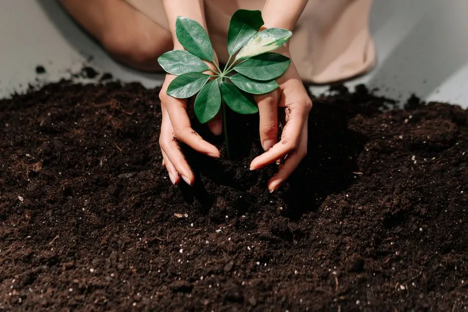 Understanding micronutrients could be your secret to an abundant ...