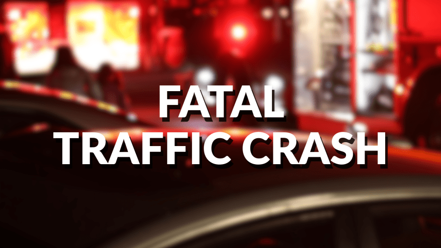 Eufaula man killed after SUV strikes fallen tree, crashes into another
