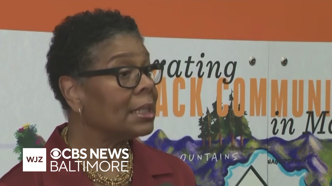 Reginald F Lewis Museum president Terri Lee Freeman retiring in December