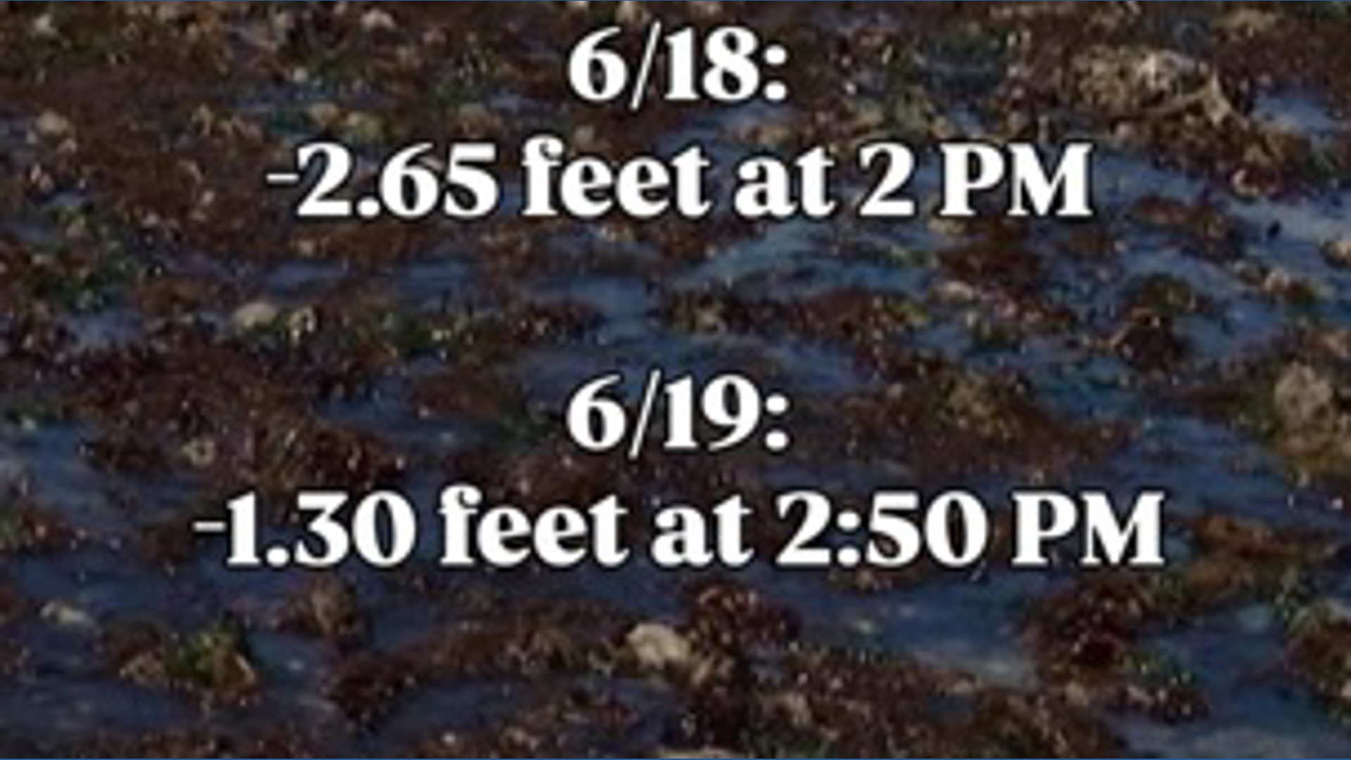 Puget Sound low tides