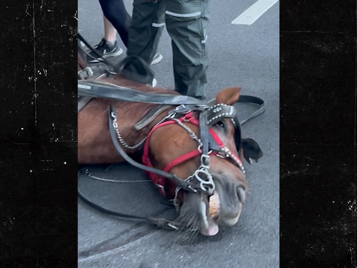 Central Park carriage horse's cause of death revealed