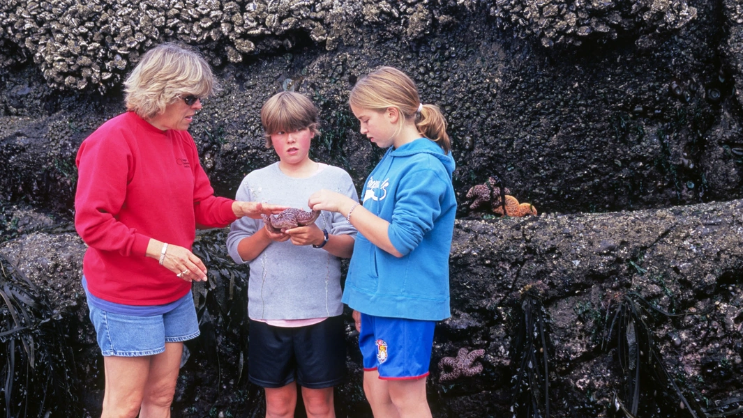 Exploring Half Moon Bay’s tide pools and waves