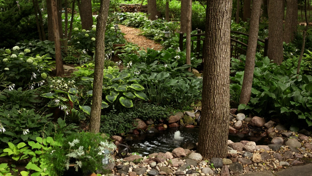 14 creative landscaping ideas for shady gardens