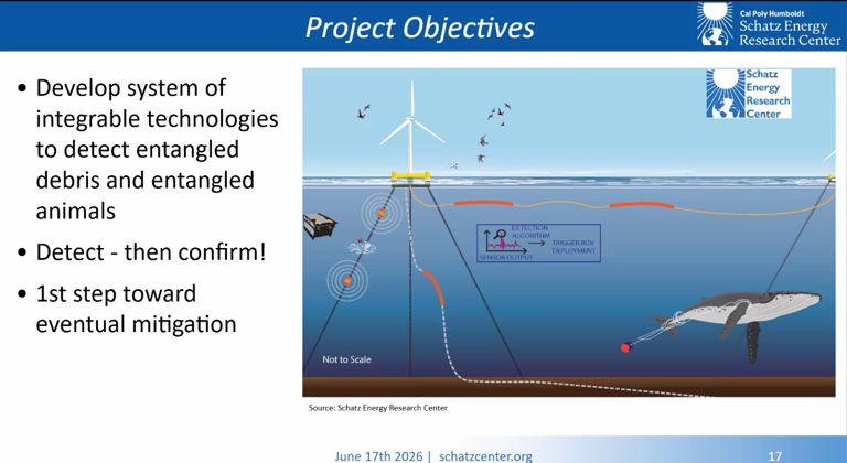 Consortium works to detect, mitigate future entanglement for California ...