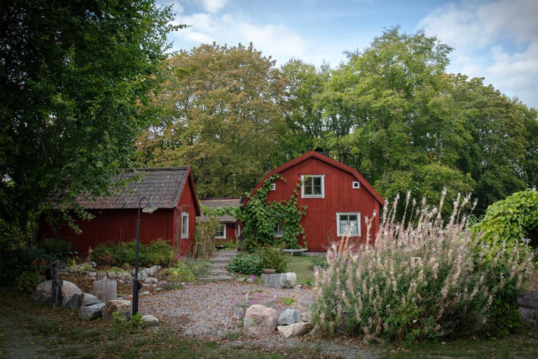 Inside a vintage dealer’s little red cottage in the Swedish countryside