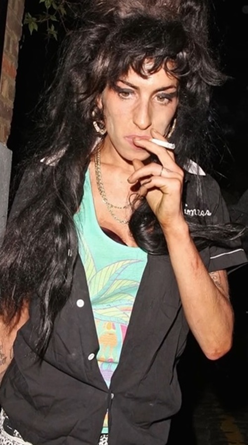 The tragic story of Amy Winehouse's demise