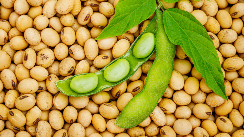 14 foods to avoid if you have a soy allergy