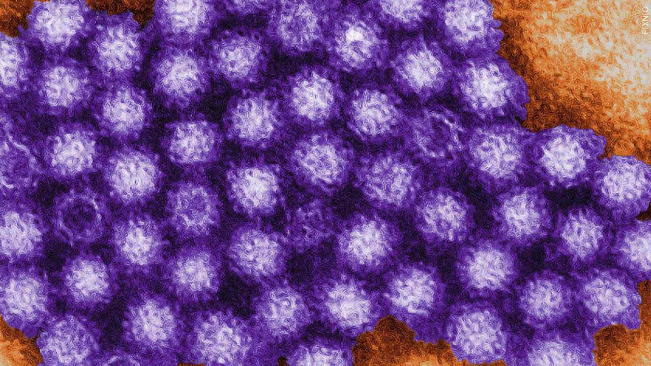 SNP warns of potential norovirus cases on the Appalachian Trail