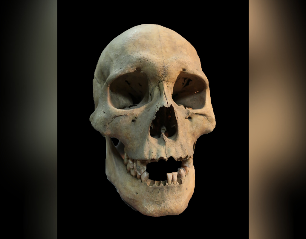New evidence of origin of the Black Death a ‘complete surprise’ experts say