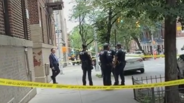 2 people, including 79-year-old bystander, shot in the Bronx