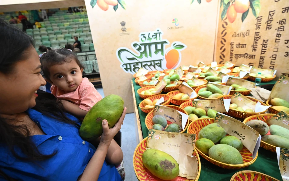Five rare Indian mango varieties spotlighted for heritage and flavour