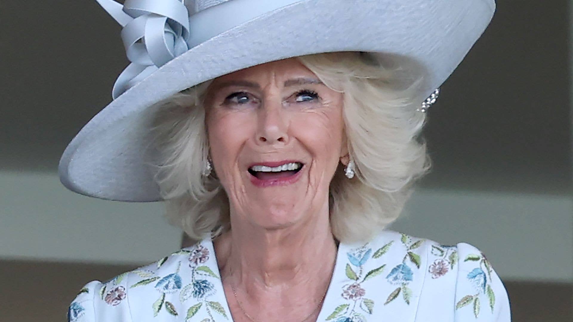 Queen Camilla leaves fans giggling with 3-word carriage comment at Ascot