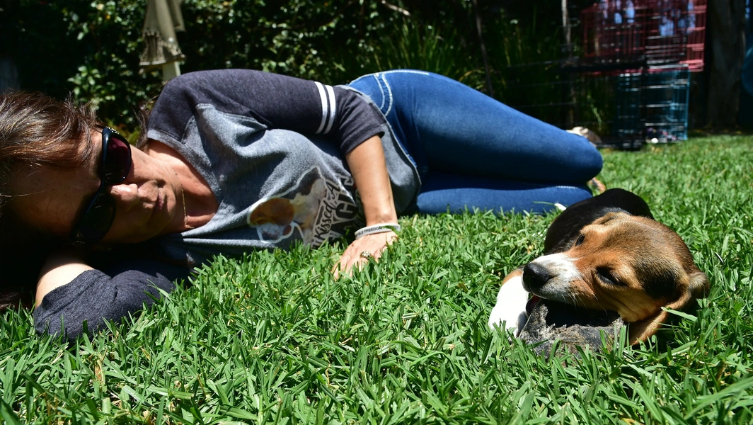Viral dog videos highlight emotional and scientific bonds