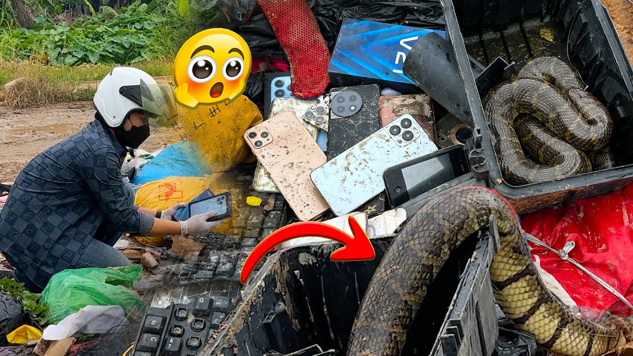 🐍OMG.😱! Found many iPhones Samsung OnePlus & saw the big snake ...