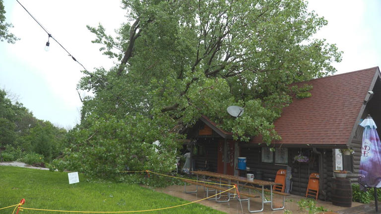 Severe winds knock down large tree onto North Liberty bar