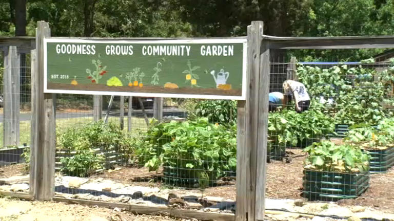 Durham's food supply threatened as prolonged drought drains water ...