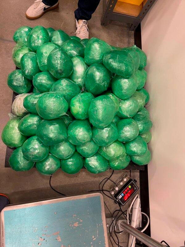 Atlanta woman charged after DEA seizes nearly 200 pounds of ...