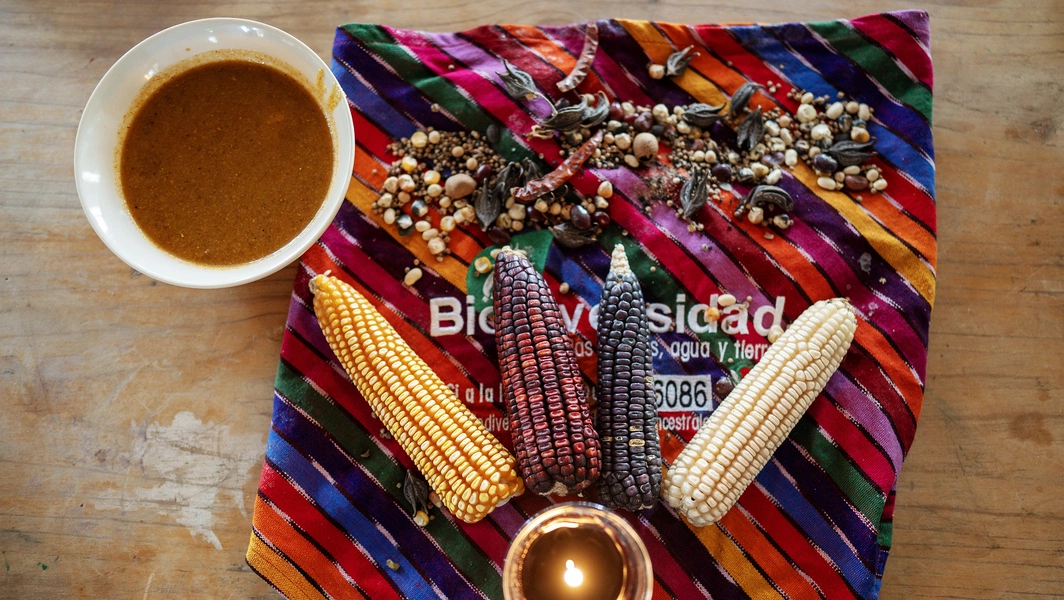 Albany eatery highlights Mayan roots amid UNESCO focus on food heritage