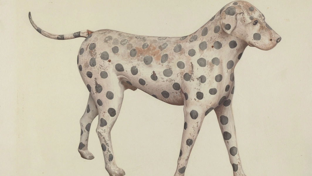 9 dog breeds with striking and unique coat patterns
