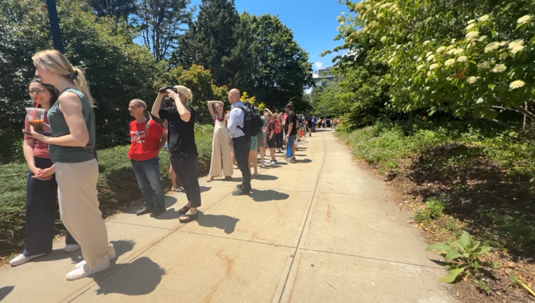 'Stinky': Corpse flower at University of Rhode Island draws crowd