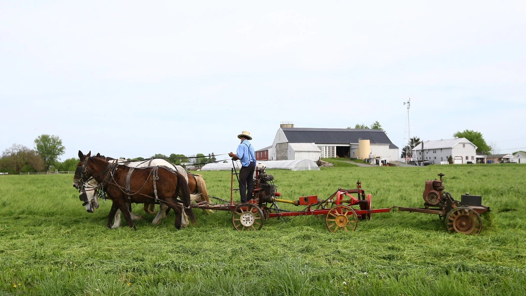 Amish life: Traditions, work, and modern myths