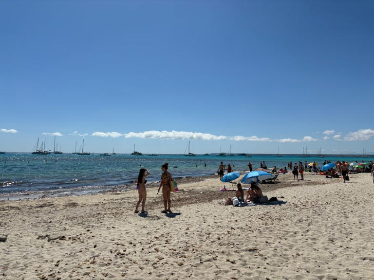Schönste Strände Mallorca: Hier findest du das Strand-Paradies der Insel