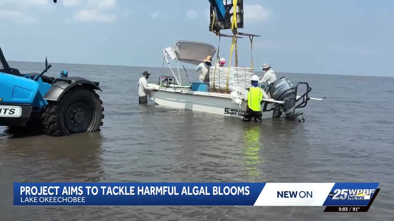 Experts tackle phosphorus pollution in Lake Okeechobee to improve water ...