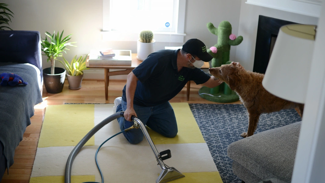 17 common triggers that stress dogs