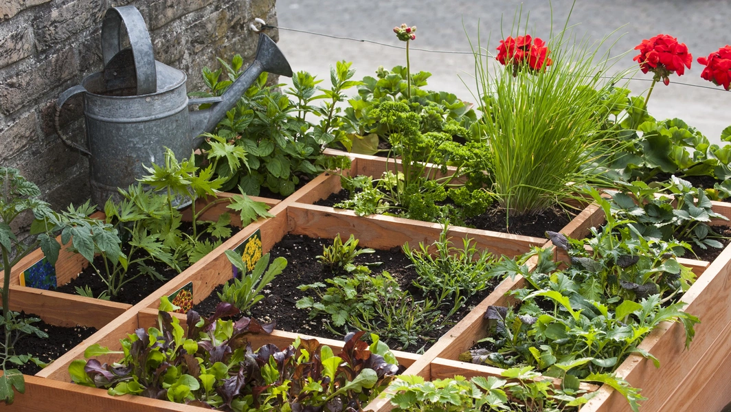 10 creative ideas for small-space gardening