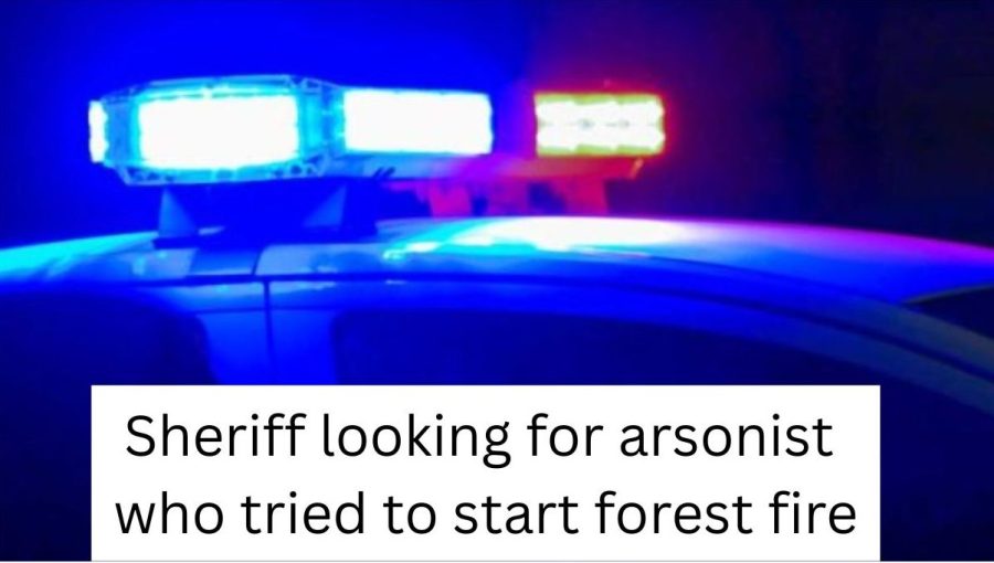High country sheriff looking for arsonist who tried to start forest fire