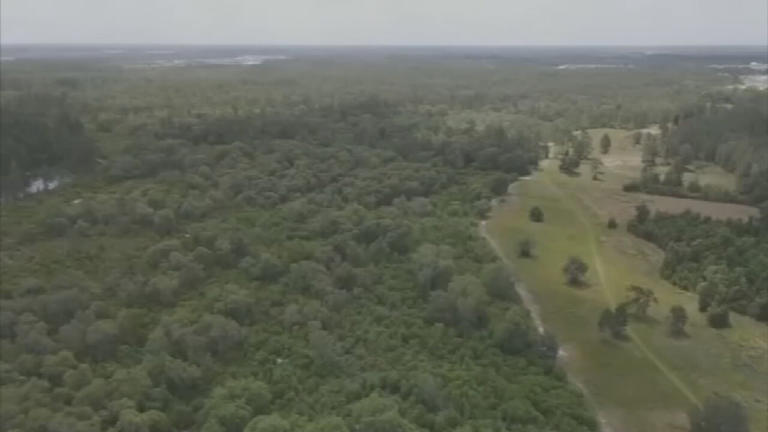 Florida to rename State Road 80 as President Donald J Trump Highway