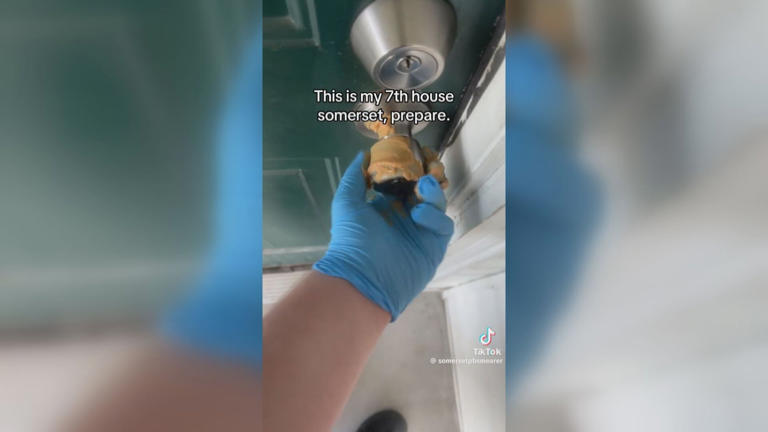 The Peanut Butter Smearer strikes at Ky. fair, several homes; raises ...
