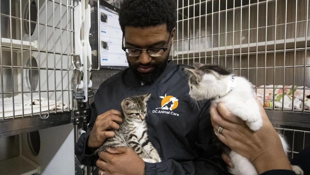 The many benefits of volunteering for animal rescue