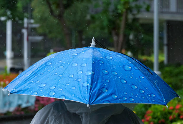Hong Kong issues red rainstorm warning amid heavy showers, afternoon ...