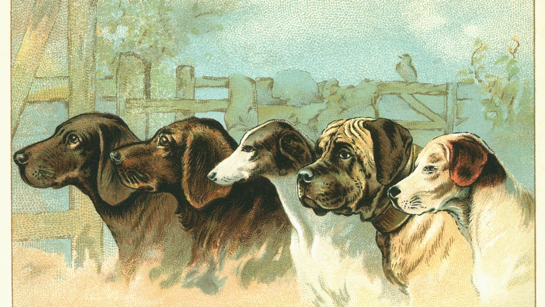 13 dog breeds comfortable being alone