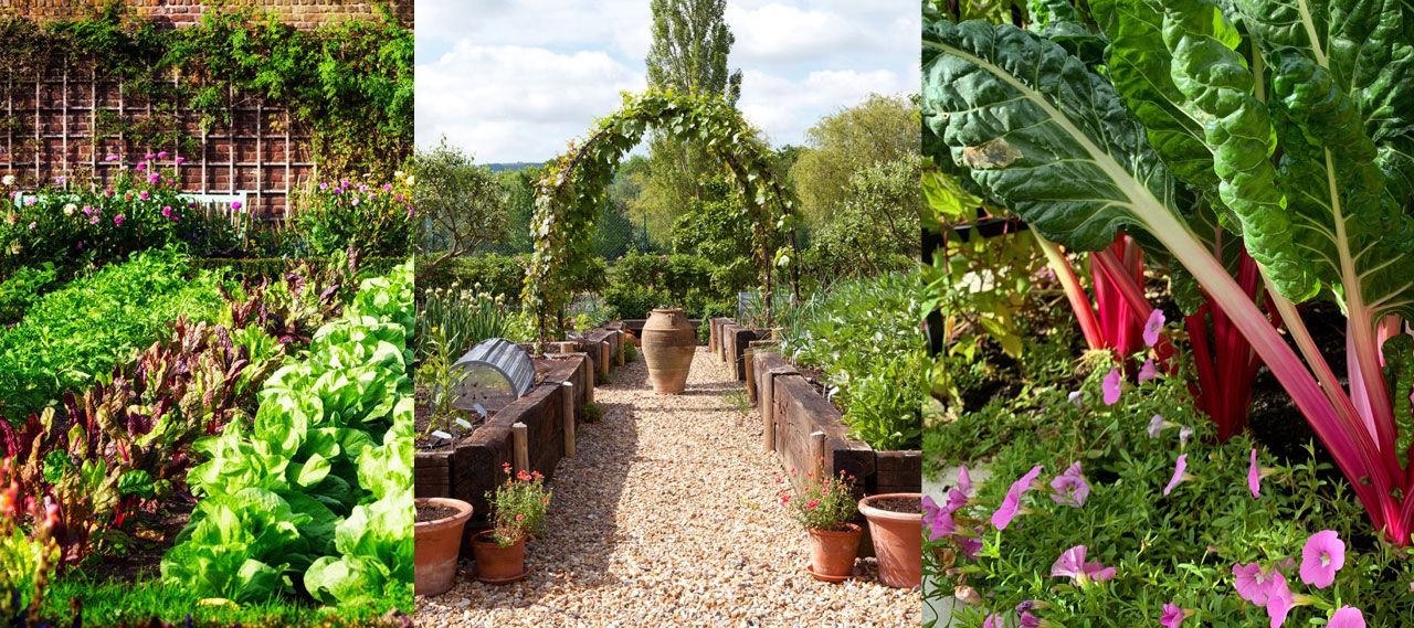 Vegetable garden ideas – designs and layouts for backyard plots