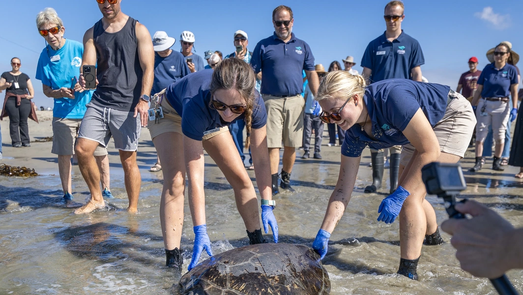 16 US wildlife rescues and sanctuaries to explore