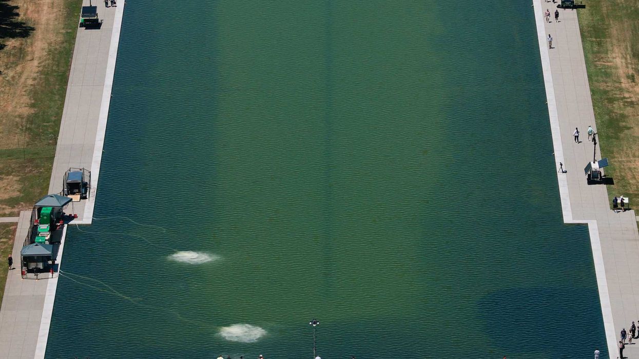 Trump admin rushing to clean up murky Reflecting Pool