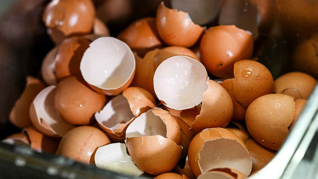 Using eggshells to improve plant health