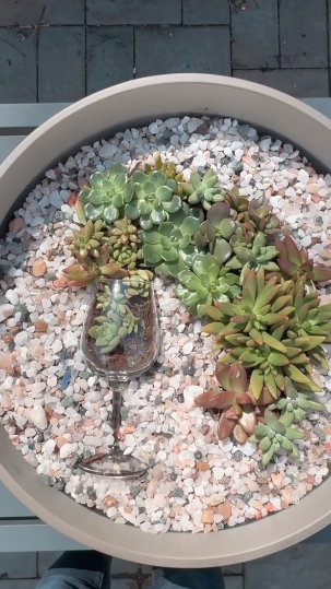 3 creative planter ideas to upgrade your backyard space