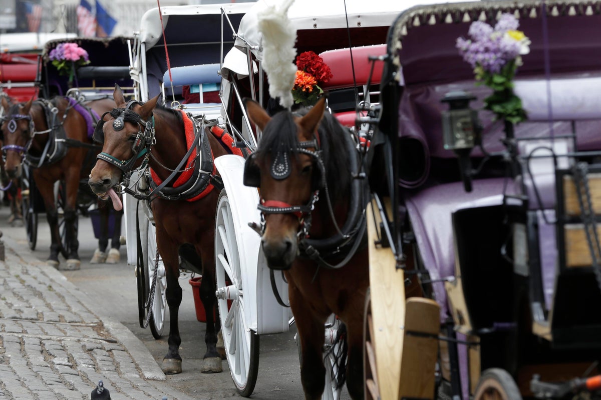 Central Park carriage ride turns deadly in terrifying seconds