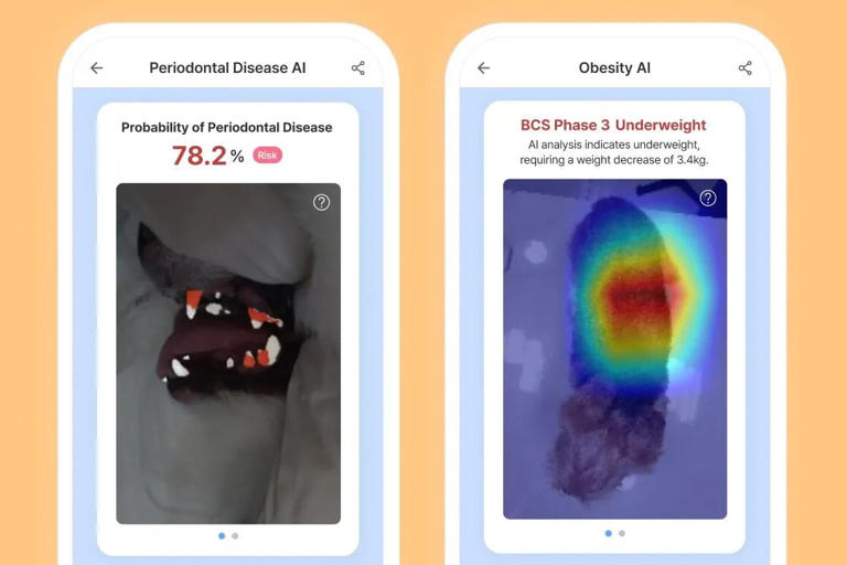 Samsung veut diagnostiquer la santé de votre chien avec une simple ...