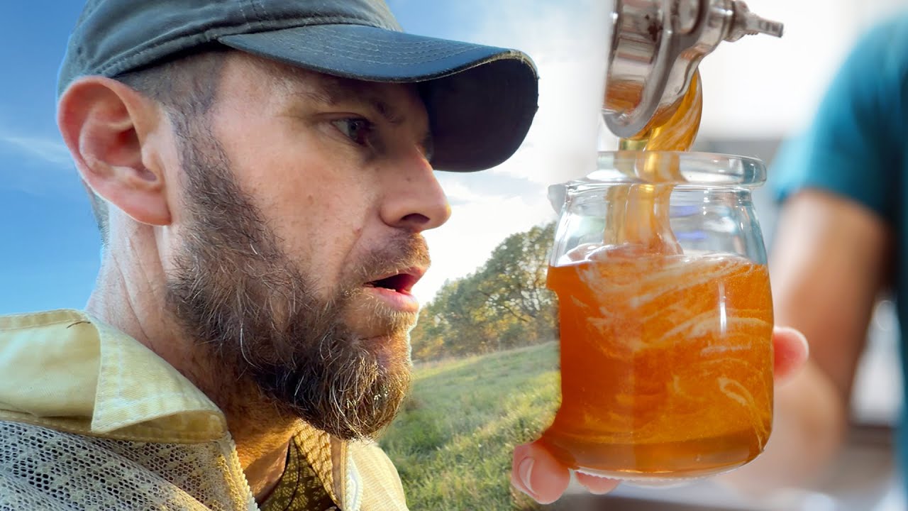 Uncovering the secrets of honey extraction
