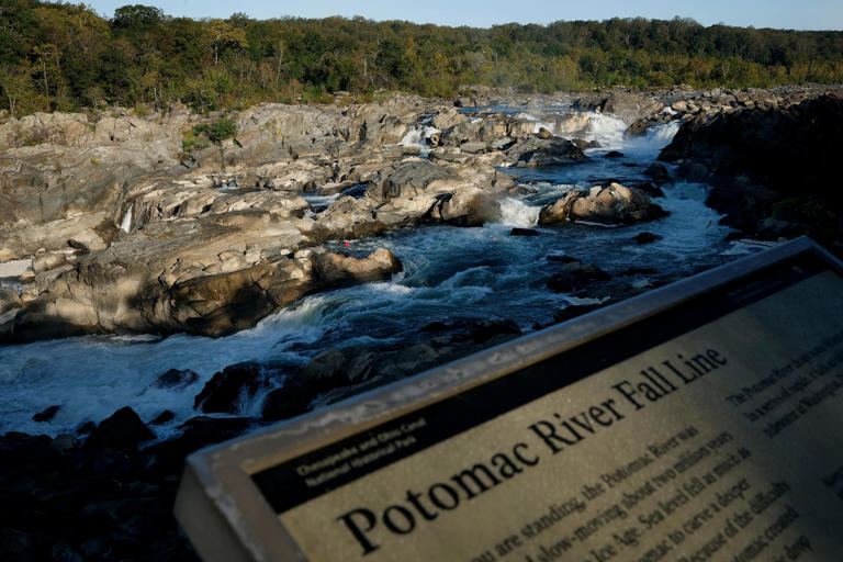 Body of missing Towson University student found in Potomac River