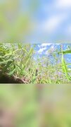Motorcyclist skids on gravel and crashes