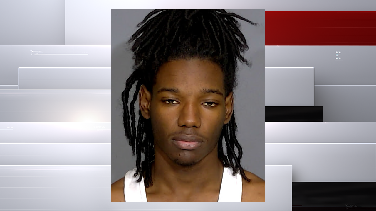 Indianapolis Metropolitan Police Department arrests man and teen in ...