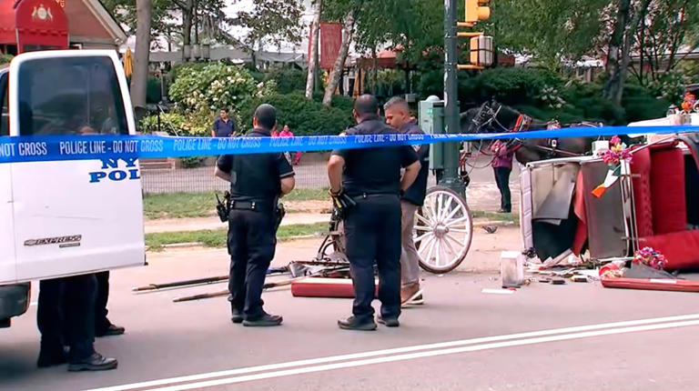 18-year-old man dies after falling from Central Park horse carriage