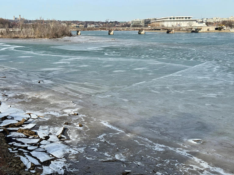 Body of missing Towson University student found in Potomac River