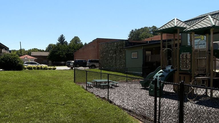Clyde leaders vote to ban dogs from Lynn's Park over safety ...
